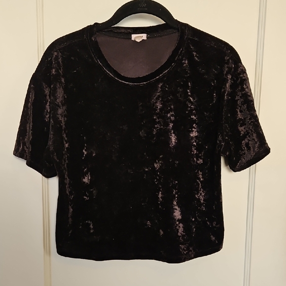 Garage | Tops | Garage Black Velvet Look Short Sleeve Topm | Poshmark